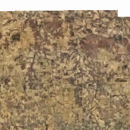 ArcGIS Web Application