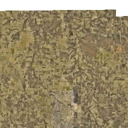 ArcGIS Web Application